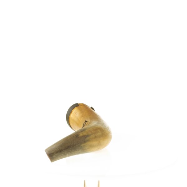 Mayor’s horn