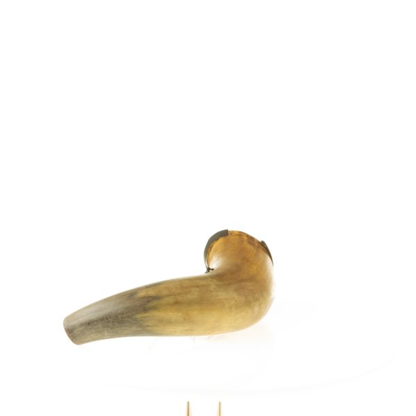 Mayor’s horn