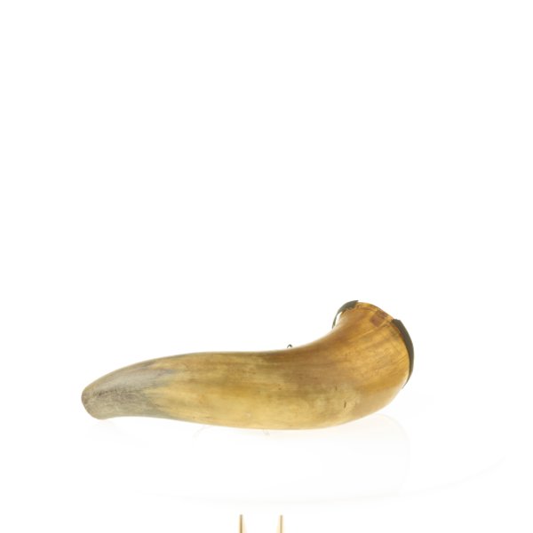 Mayor’s horn